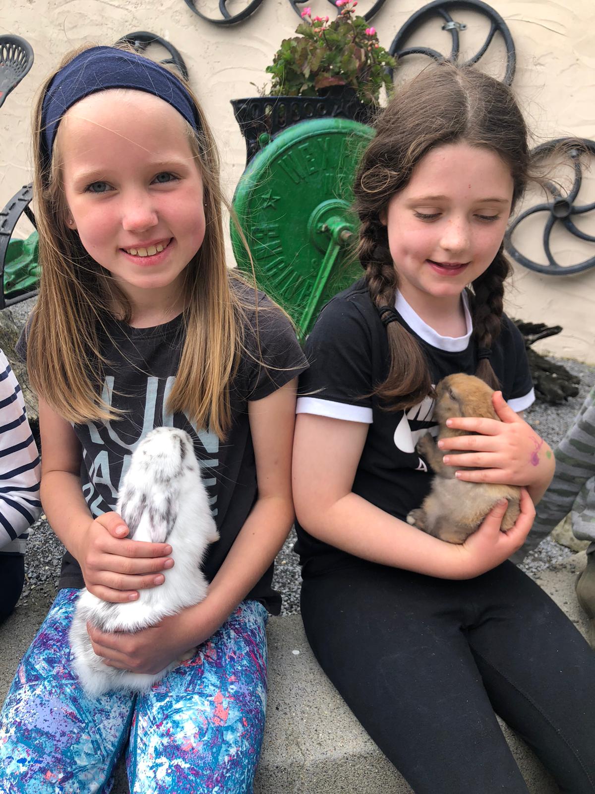 Graune Pet Farm school tour: June 2021 | Kilmovee NS